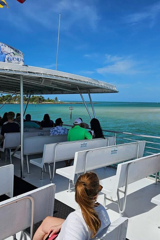 Naples: Sightseeing Day Cruise on the Gulf of Mexico - What to Expect During the Cruise