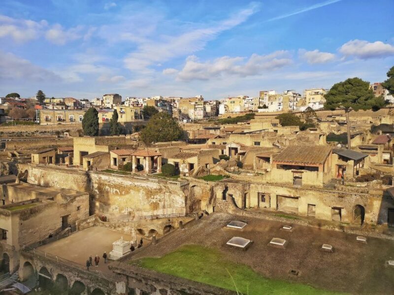 Naples: Skip-the-line Herculaneum and Vesuvius Day Trip - Key Points