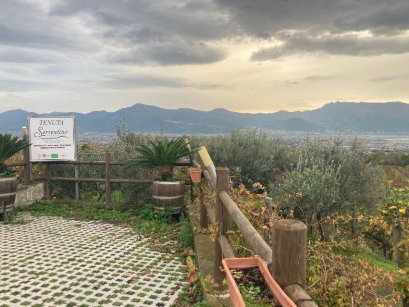 Naples to: Pompei , Vesuvius, Ercolano - Naples to: Pompei, Vesuvius, Ercolano – A Practical Guide to an Unforgettable Day