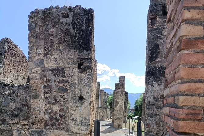 Naples transfer to Pompeii guided tour and Back - Pricing and Value