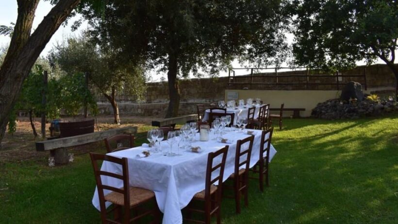 Naples: winery tour & wine tasting on Astroni crater - Key Points