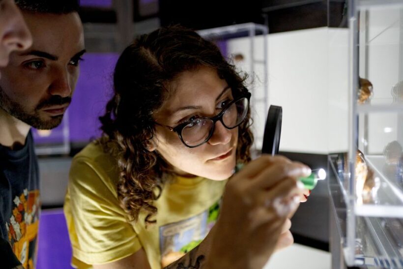 Napoli: Museodivino Entrance Ticket and Guided Tour - Dive Into the World of Miniature Art in Naples