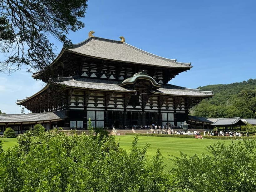 Nara: 3-Hour Guided Tour with Deer, Great Buddha & Shrines - The Sum Up