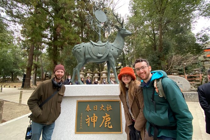 Nara 8hr Private Tour - Osaka DEP. With Licensed Guide - Accessibility