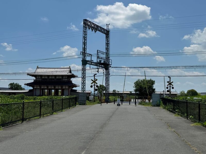 Nara: Ancient Imperial Palace, Heijokyu - Guided Tour 2H - Experience and Ambiance