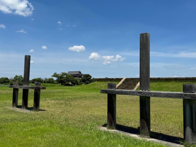 Nara: Ancient Imperial Palace, Heijokyu - Guided Tour 2H - Guided Tour Details