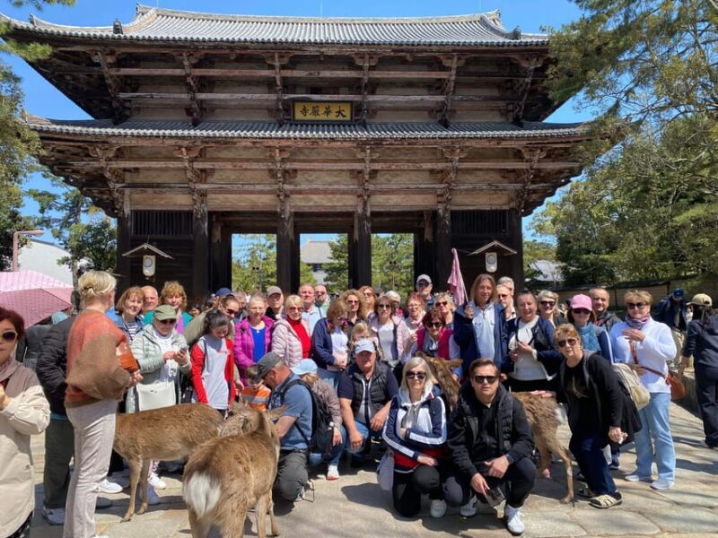 Nara and Kyoto Tour - Customer Feedback