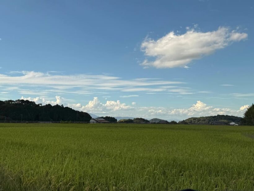Nara: Asuka, Ancient Capital & Future Heritage Private Tour - A Deep Dive into the Asuka Experience