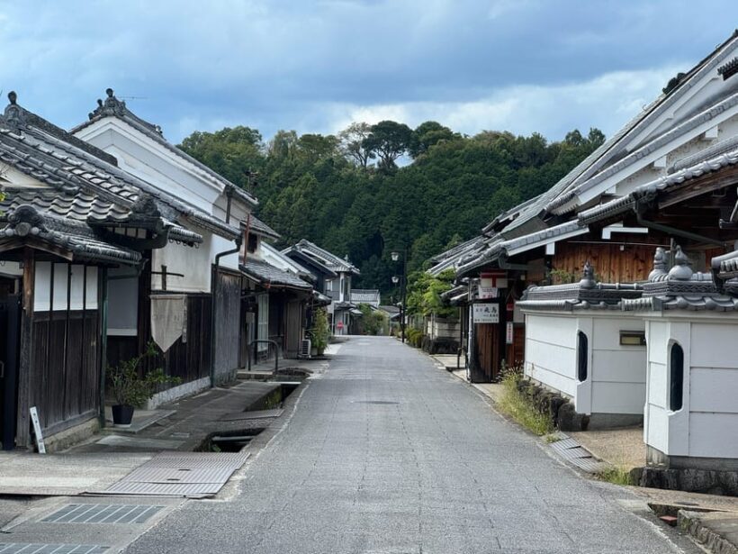 Nara: Asuka, Ancient Capital & Future Heritage Private Tour - Who Will Get the Most from This Tour?
