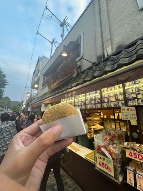 Nara attractive tour with local guide (4hours) - What to Expect in Terms of Experience