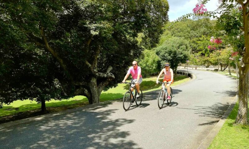 Nara: City Highlights Shared Group or Private Bike Tour - Inclusions and Requirements