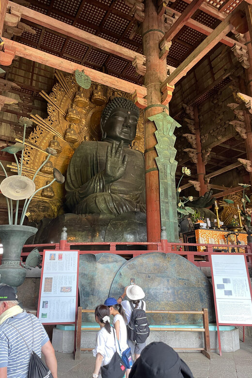 Nara City Tour | Explore Temples, Park & Local Highlights - Who Will Love This Tour?