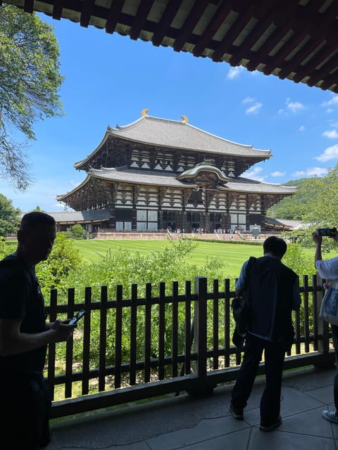 Nara City Tour | Explore Temples, Park & Local Highlights - Nara Park Sightseeing