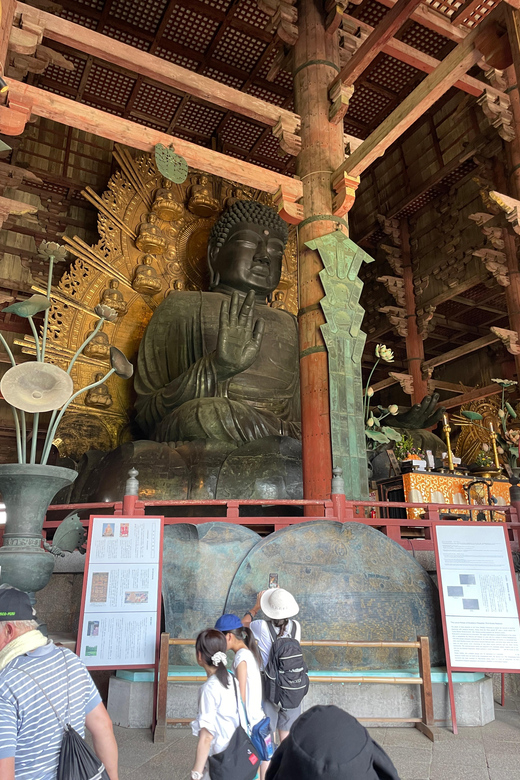 Nara City Tour | Explore Temples, Park & Local Highlights - Experience Description