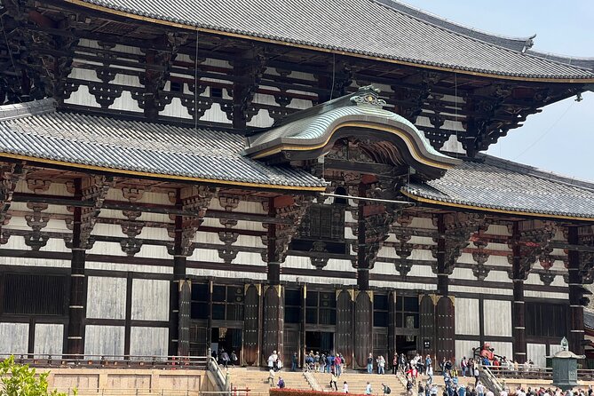 Nara Day Trip From Kyoto With a Licensed Guide - Accessibility and Requirements