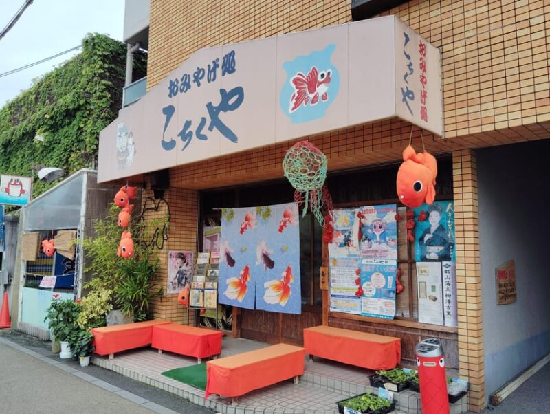 Nara: Discover Koriyama's Goldfish Charm - 2-Hour - Hakomotokan Konya: Guided Tour of a Goldfish Hatchery
