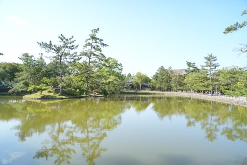 Nara Early Bird Tour (Kyoto Departure Option Available) - Key Points