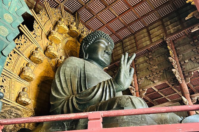 Nara Early Bird Tour (Kyoto Departure Option Available) - Response to Issues and Customer Service