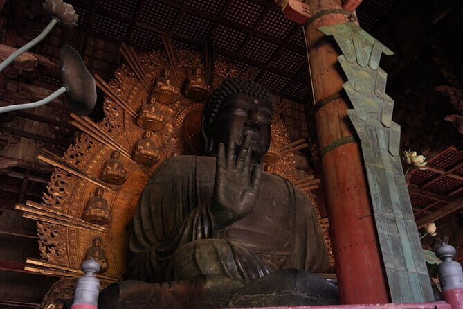 Nara Early Bird Tour (Osaka Departure Option) - A Closer Look at the Nara Early Bird Tour