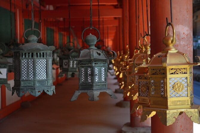 Nara Early Bird Tour (Osaka Departure Option) - Final Thoughts