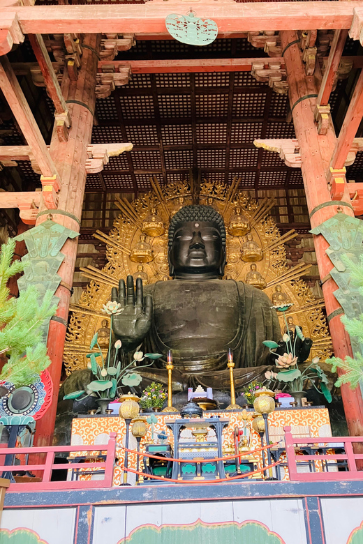 Nara: Essential Private Tour With Deer Park and Temples - Wandering Through Nara Park