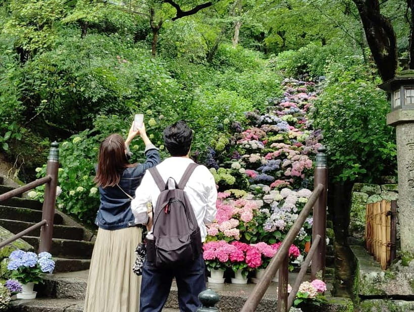 Nara: Explore Hasederas Giant Kannon and Cliffside Temple - The Sum Up: Who Will Love This Tour?