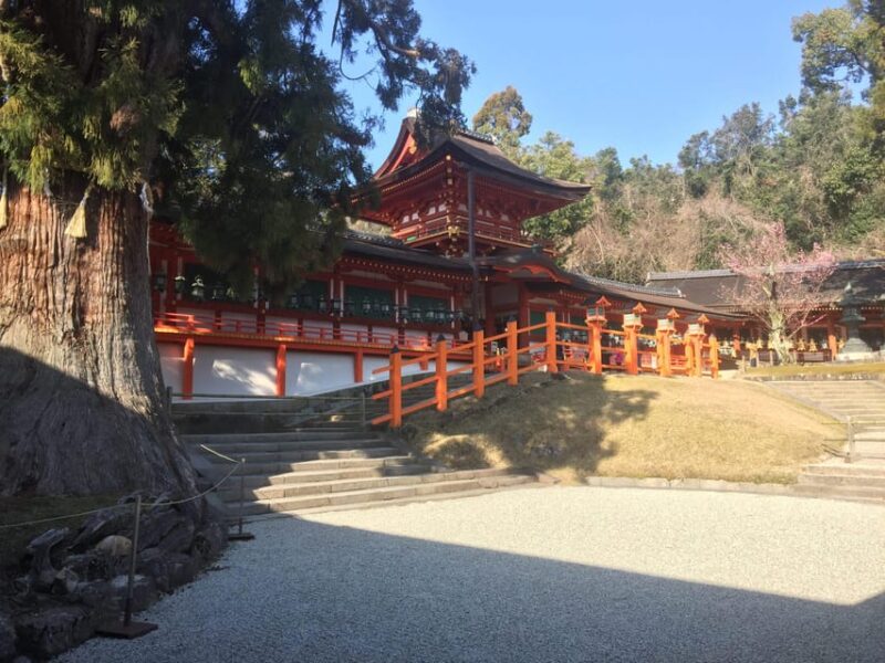 Nara: Full-Day Private Guided Tour - Exploring the First Fixed Capital of Japan