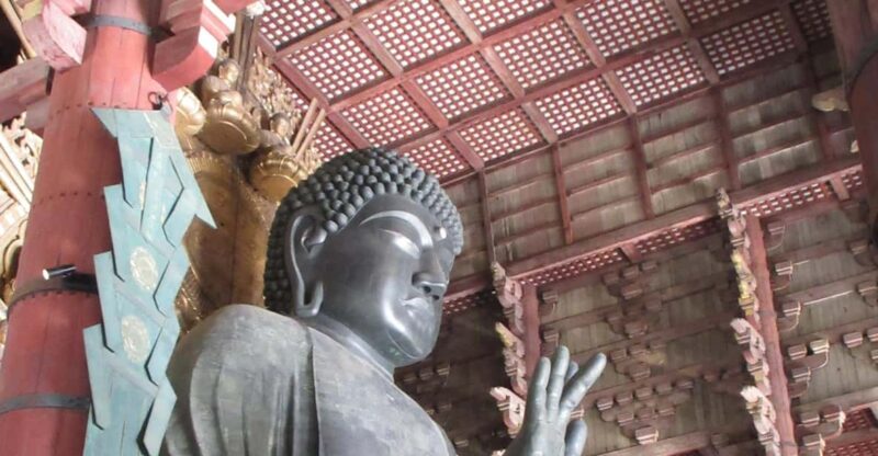 NARA: Giant Buddha, Free Deer in the Park (Italian Guide) - Meeting and Transportation Details