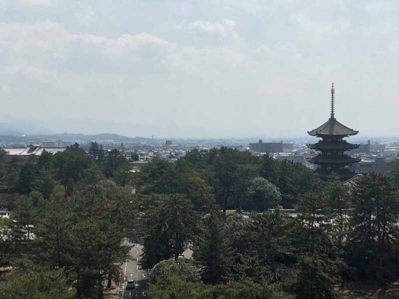 Nara: Half-Day Private Guided Tour - Itinerary and Highlights