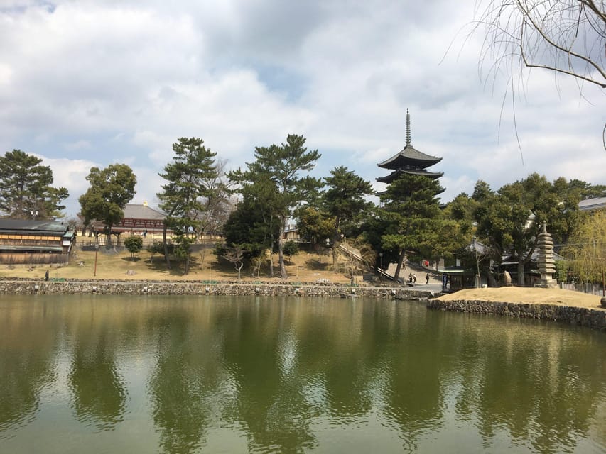 Nara: Half-Day Private Guided Tour - Connecting With Naras Friendly Deer Population