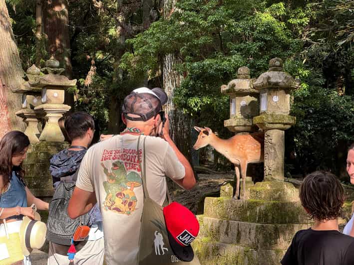 Nara: Half-Day Private Tour of 4 Must-See Spots & Deer Park - Key Points