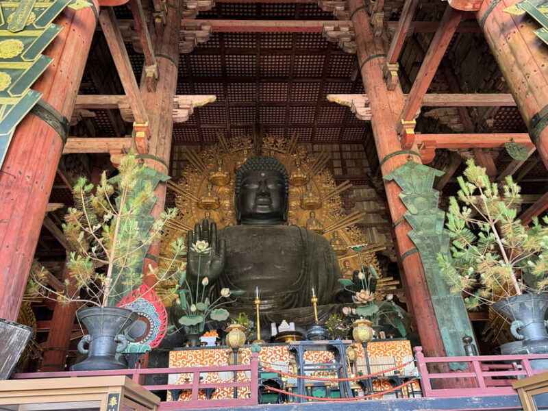 Nara: Half-Day Private Tour of 4 Must-See Spots & Deer Park - Itinerary Highlights