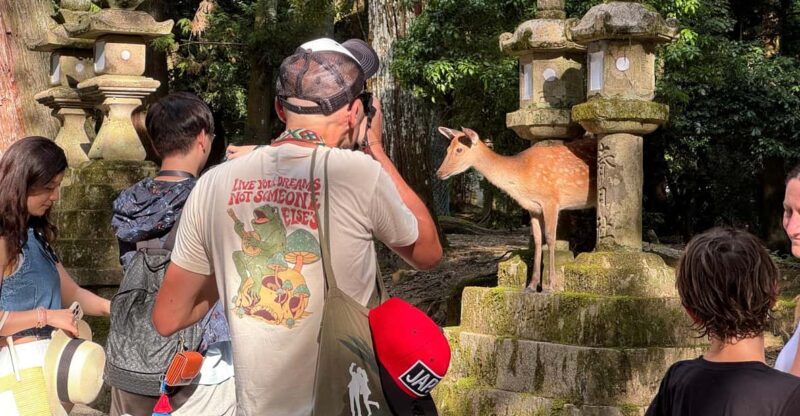Nara: Half-Day Private Tour of 4 Must-See Spots & Deer Park - Cultural Experiences