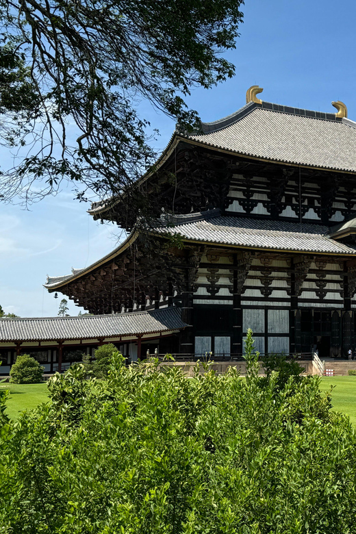 Nara: Half-Day Private Tour of 4 Must-See Spots & Deer Park - Naramachi