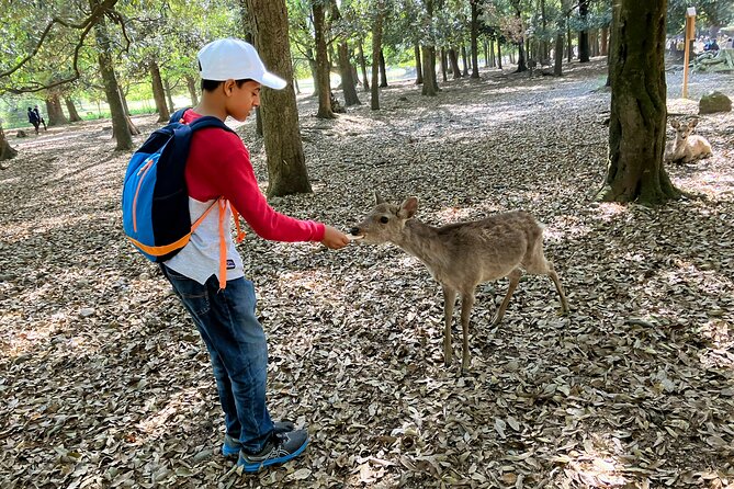 Nara Half Day Tour Discover Ancient Temples and Friendly Deer - Tour Highlights and Experiences