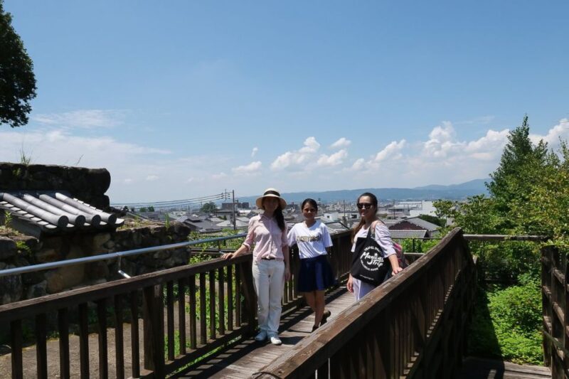Nara: Half-Day UNESCO Heritage & Local Culture Walking Tour - Important Information
