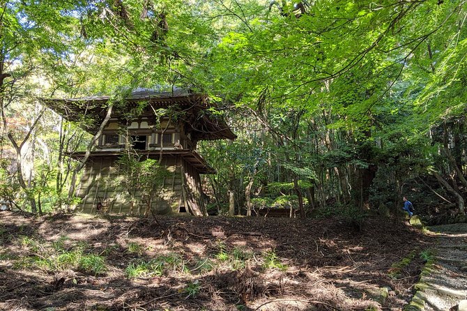 Nara - Heart of Nature Bike Tour - Fitness and Accessibility Requirements