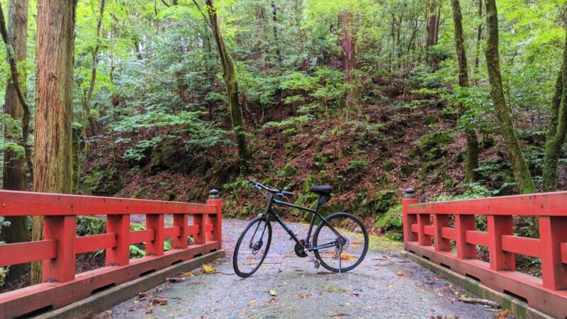 Nara: Heart of Nature Temple, Forest, & Waterfall Bike Tour - Exploring Kofukuji Temple