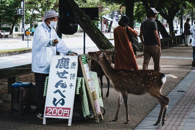 Nara Heritage Walkabout From Nara Park to Todaji Temple - Tour Experience
