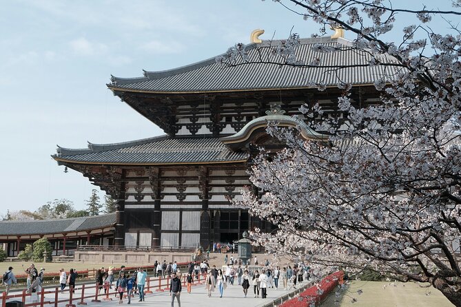 Nara Heritage Walkabout From Nara Park to Todaji Temple - Traveler Tips