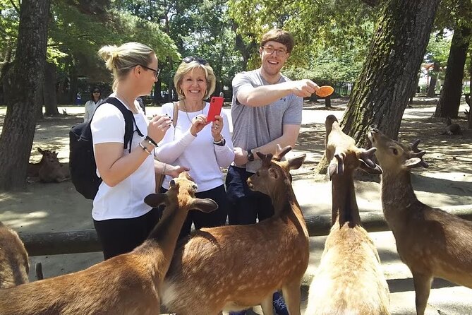 Nara Highlight Private Walking Tour with Licensed Guide - Key Points