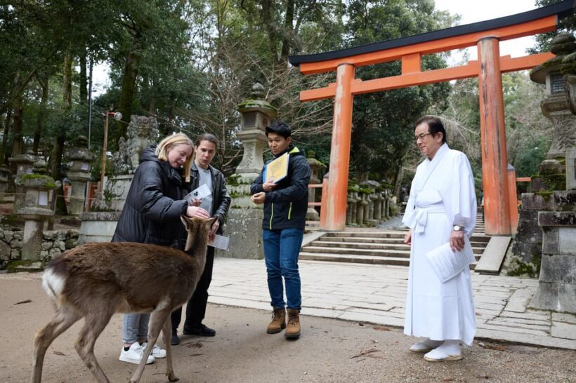 Nara: Kasuga Taisha, Sacred Deer Shrine Guided Tour - The Forest and Deer Experience
