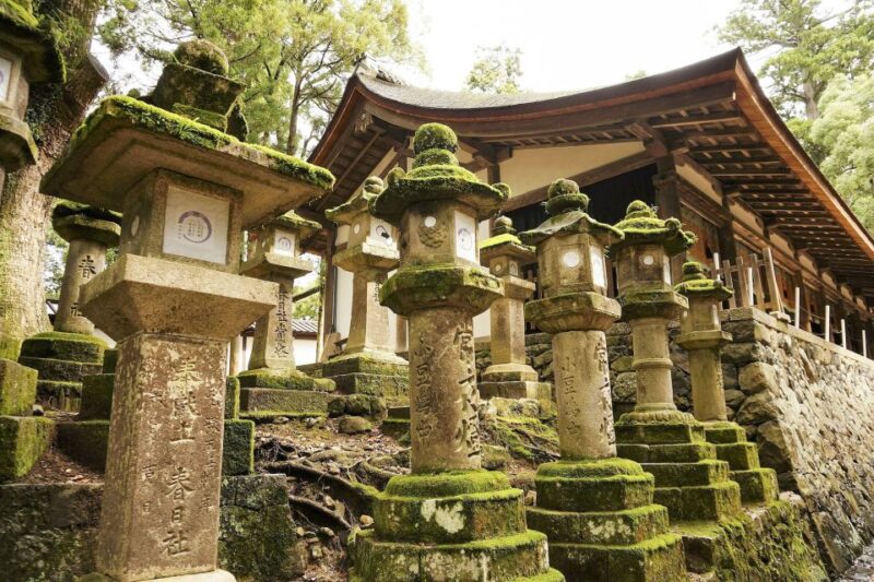 Nara Like a Local: Customized Guided Tour - Preparing for Your Nara Tour