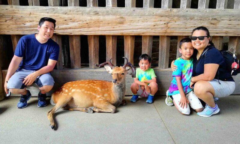 Nara: Nara Park Private Family Bike Tour With Lunch - Arts and Crafts Market