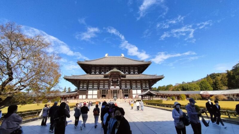 Nara: Nara's Highlights in 3 Hours - Nara Park: Experiencing the Sacred Deer