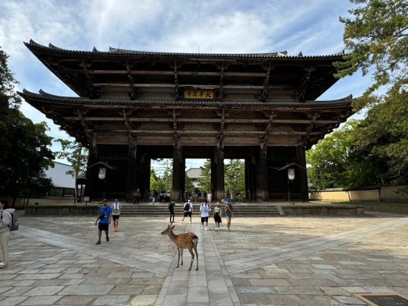 Nara: Nara's Highlights in 3 Hours - Two Drop-off Locations