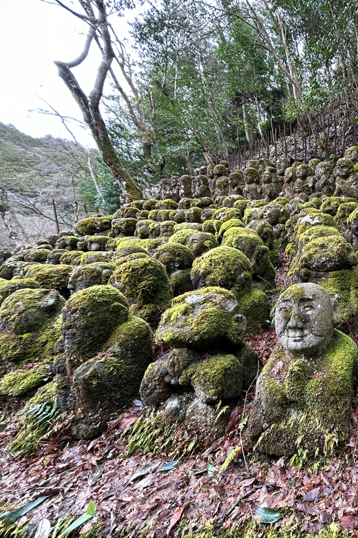 Nara Optional:Kyoto Private Car Tour With Japanese Navigator - Important Information