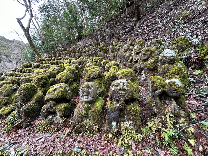 Nara Optional:Kyoto Private Car Tour With Japanese Navigator - Exploring Kyoto and Nara