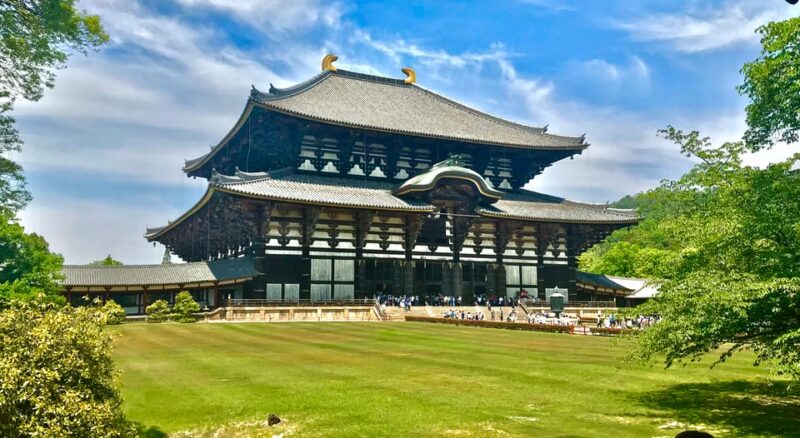 Nara Park and Todai-ji Private Spanish Tour - Itinerary Highlights