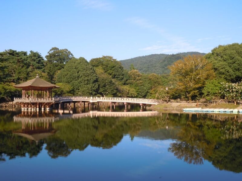 Nara Park and Todai-ji Private Spanish Tour - Frequently Asked Questions